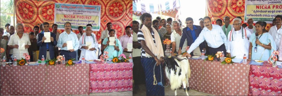 Home [kvkamadalavalasa-angrau.org]