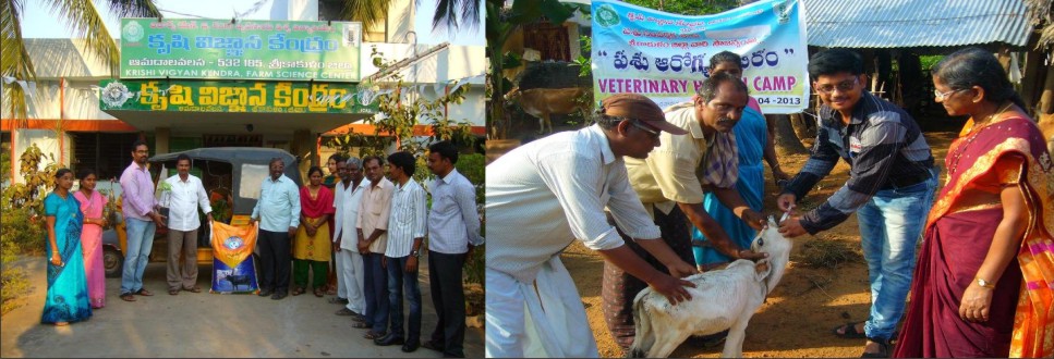 Home [kvkamadalavalasa-angrau.org]