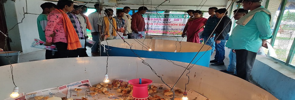 Home [kvkamadalavalasa-angrau.org]